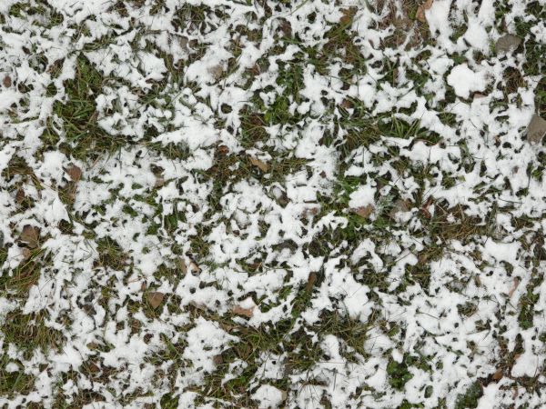 frozen ground texture 0021 - Texturelib